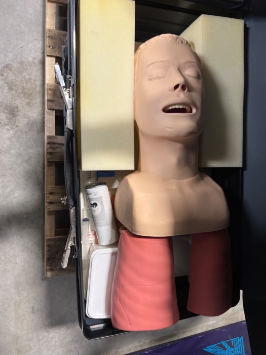 (1) Pallet of Testing Dolls for sale