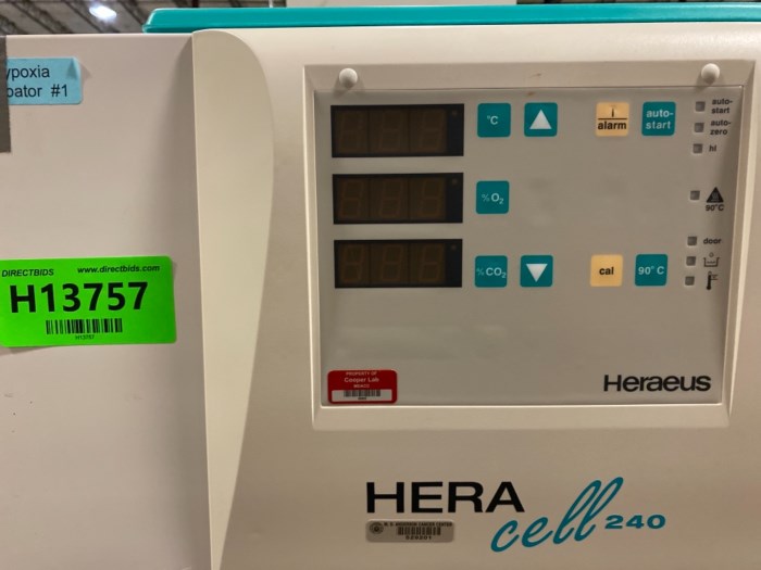 (1) Thermo Heraeus Hera Cell240 Incubator for sale