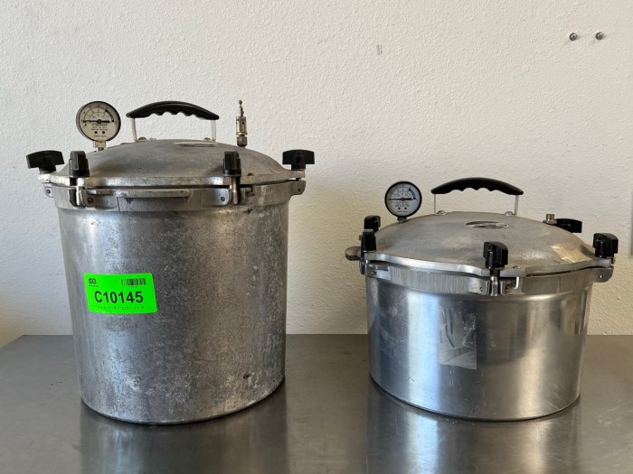 Aluminum Pressure Pots (Lot of 2) for sale