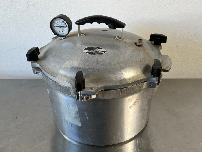 Aluminum Pressure Pots (Lot of 2) for sale