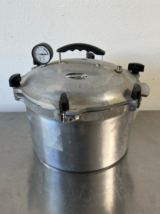 Aluminum Pressure Pots (Lot of 2) for sale