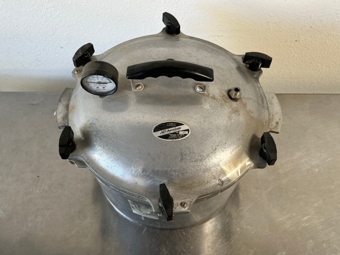 Aluminum Pressure Pots (Lot of 2) for sale