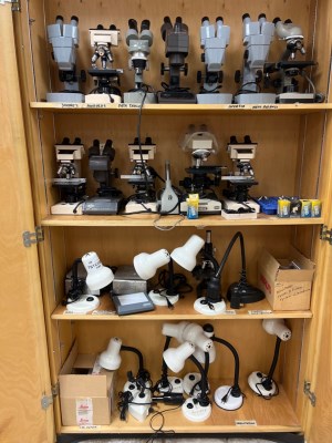 Assorted Student Tabletop Microscope w/ Tabletop Lamps (Cabinet ...