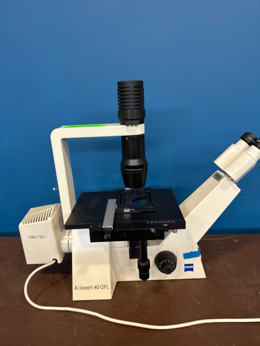 Carl Zeiss Axiovert 40 CFL Microscope for sale