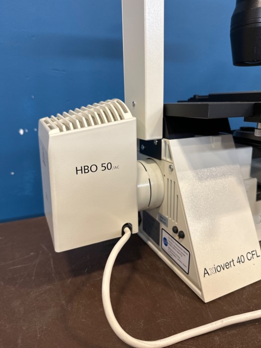 Carl Zeiss Axiovert 40 CFL Microscope for sale