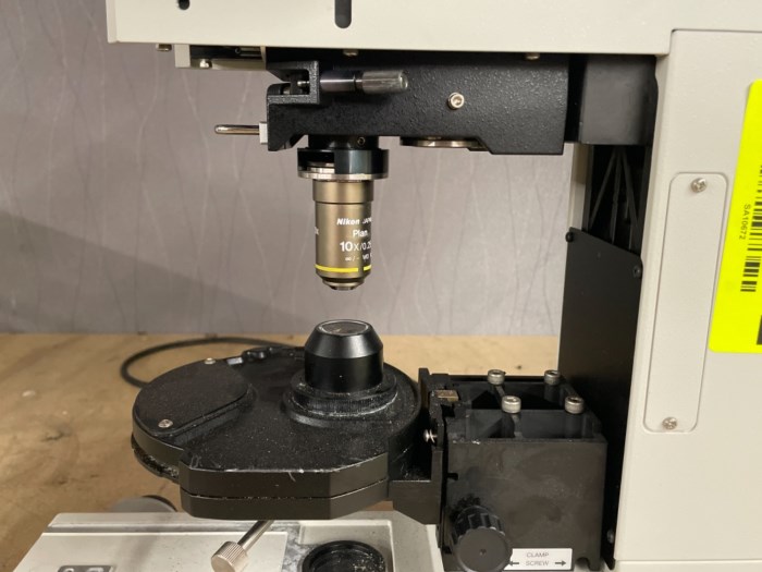Eclipse FN1 Nikon Upright Microscope for sale