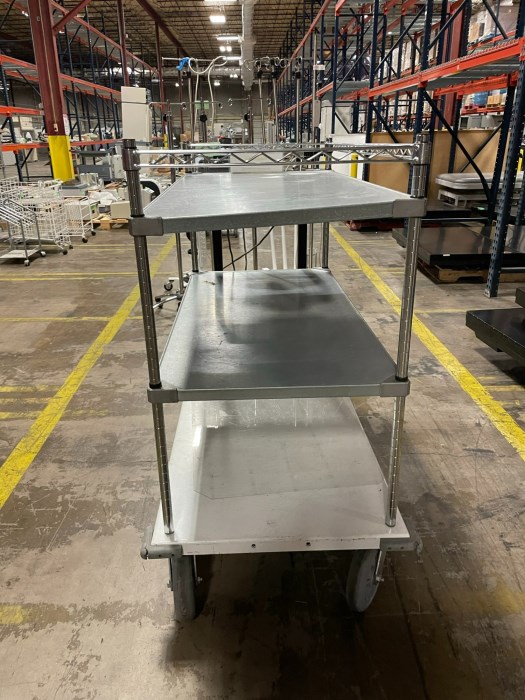 Ergo Express Motorized Cart *Powered on at time of auction* for sale