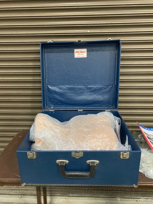 F.A.S.T. 1 First access for shock and Trauma Life Form Replicas with ...