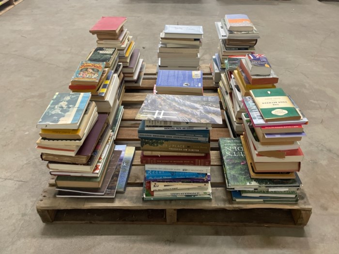Lot of (1) Pallet of Assorted Books for sale