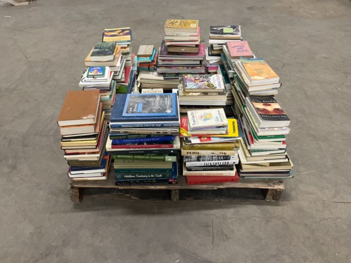 Lot of (1) Pallet of Assorted Books for sale