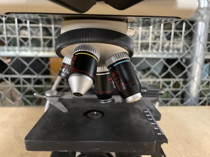 Lot of (8) Nikon Alphaphot-2 YS2 Tabletop Microscopes for sale