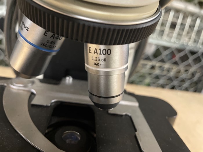 Lot of (8) Olympus CH30 Tabletop Microscopes for sale