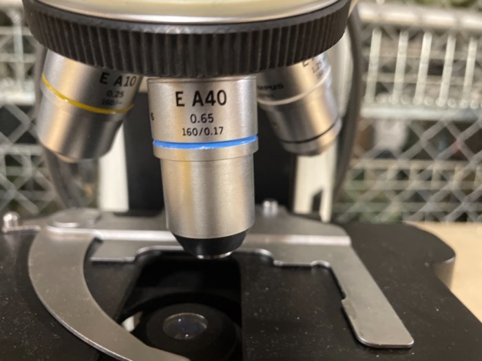 Lot of (8) Olympus CH30 Tabletop Microscopes for sale