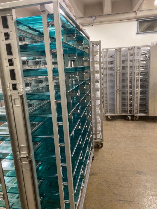 Lot of estimated 17 ventilation racks by lab products for sale