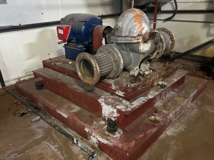Magnetek M Century E Plus Motor w/ Aurora Centrifugal Pump for sale