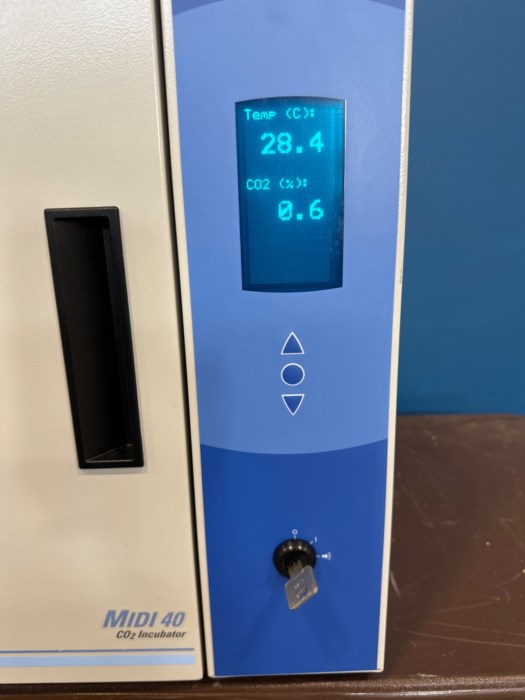MIDI 40 CO2 Incubator Thermo Scientific for sale