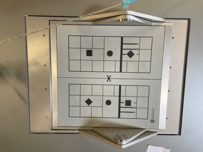 NeuroCorn Smart EquiTest System for sale