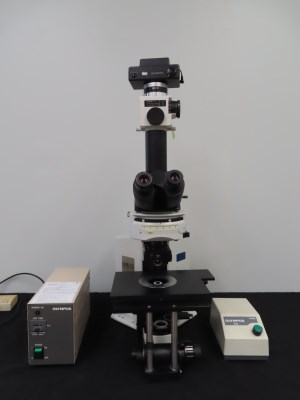 Olympus BX51WI Microscope with DIC, Fluorescence for sale