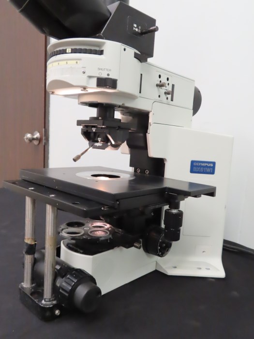 Olympus BX51WI Microscope with DIC, Fluorescence for sale