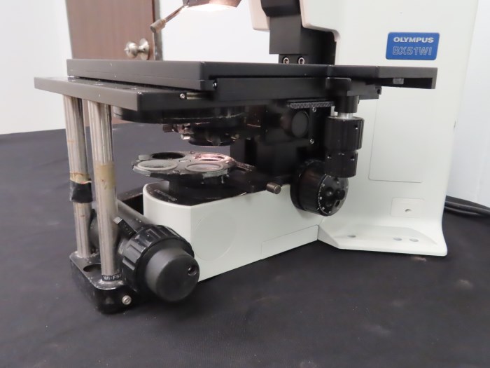 Olympus BX51WI Microscope with DIC, Fluorescence for sale