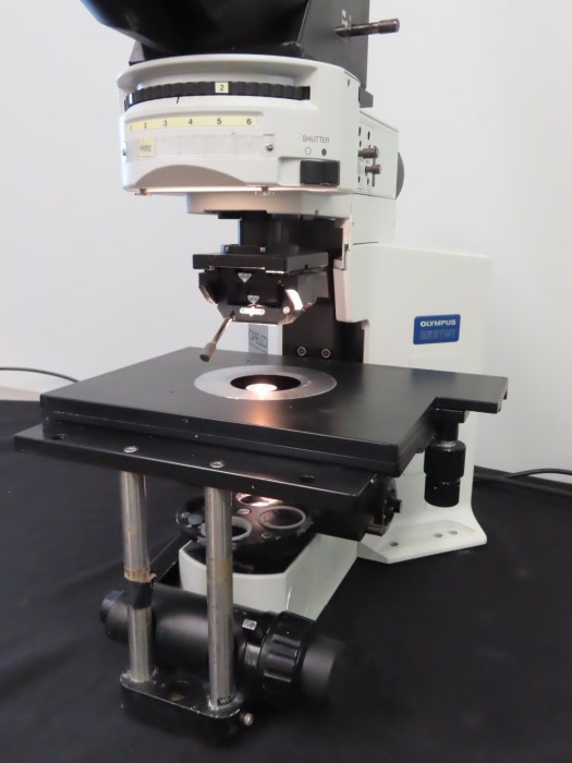 Olympus BX51WI Microscope with DIC, Fluorescence for sale