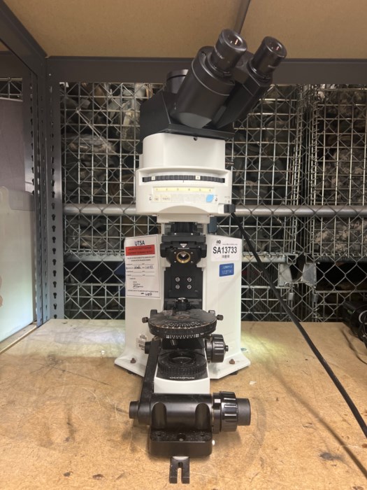 Olympus BX51WI Tabletop Microscope for sale