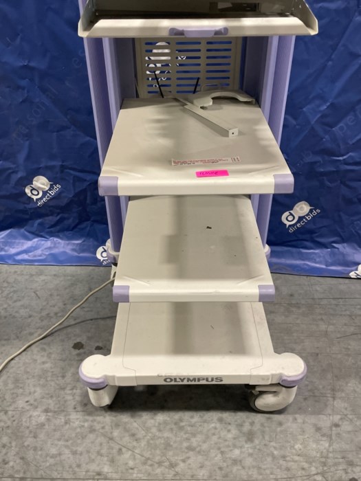 Olympus WM-NP1 Mobile Cart w/ Mounted Monitor & Probe for sale