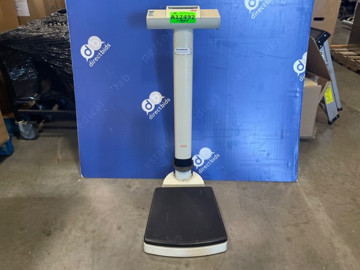 SECA BMI Scale for sale