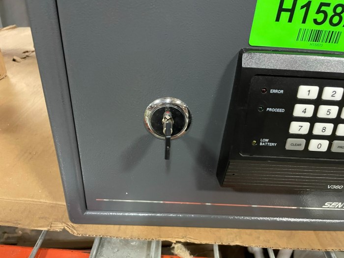 Sentry V360 Safe *Key Included* for sale