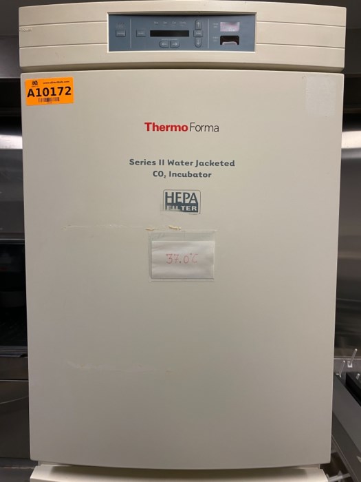 Thermo Forma Water Jacketed Incubator (B2-3.322) for sale