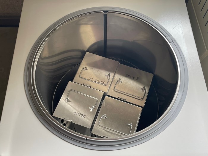 Thermo Scientific CryoPlus 1 Nitrogen Storage System for sale