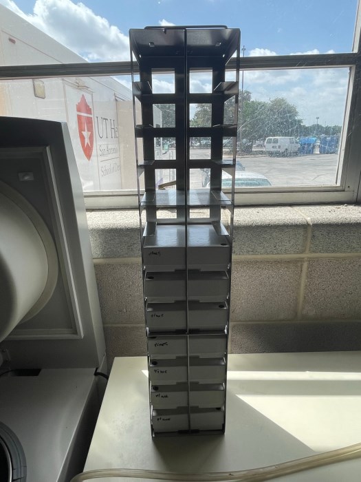 Thermo Scientific CryoPlus 1 Nitrogen Storage System for sale