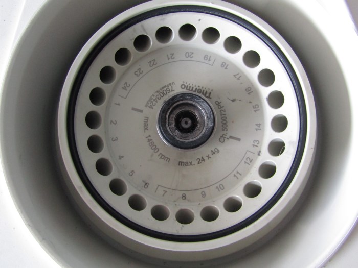 Thermo Sorvall Legend Micro 21 Refrigerated Centrifuge W/ Rotor for sale