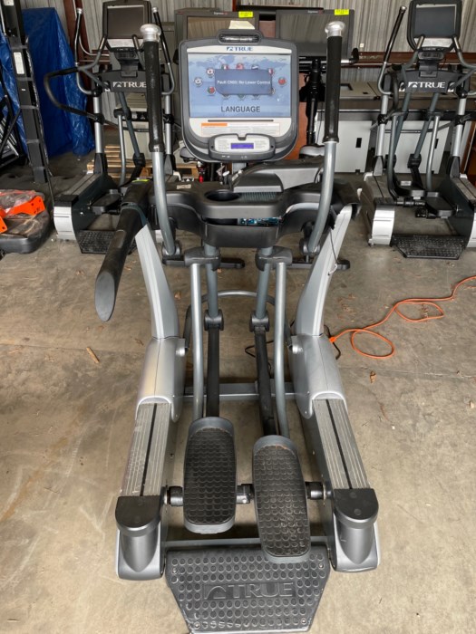 True CS900 Elliptical for sale
