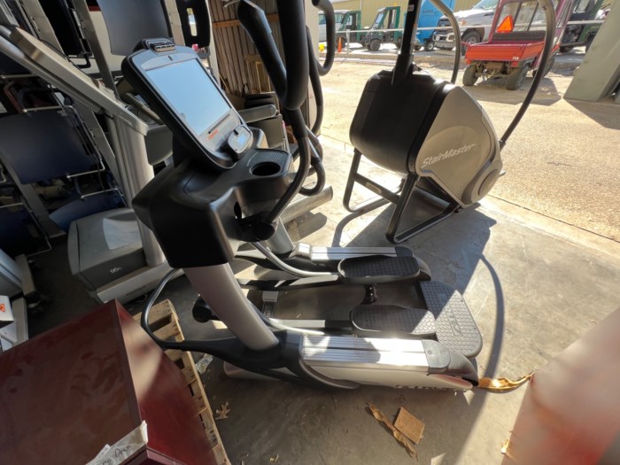 True XS1000 Elliptical Machine for sale