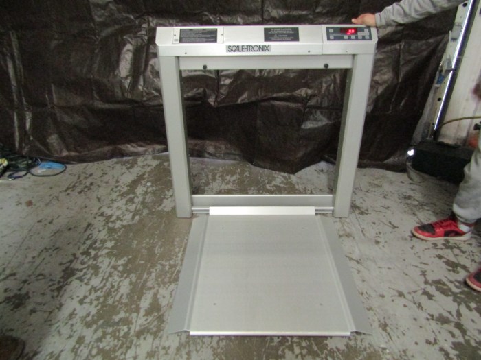 Welch Allyn 6202 Stow-A-Weigh Stand-On Scale for sale