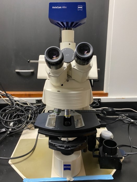 Zeiss Axioplan 2 (B3-2.056) for sale